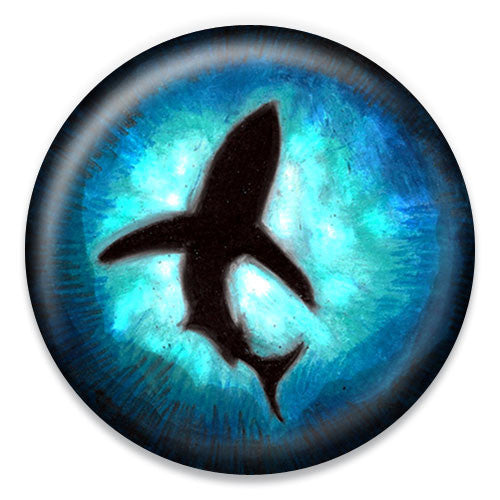 Shark – ChattySnaps