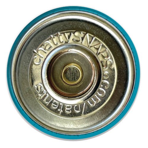 Sea Turtle – ChattySnaps